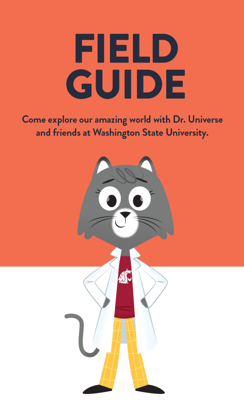 Activities | Ask Dr. Universe | Washington State University