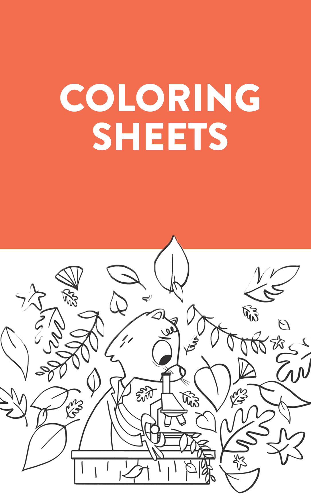 Activities | Ask Dr. Universe | Washington State University