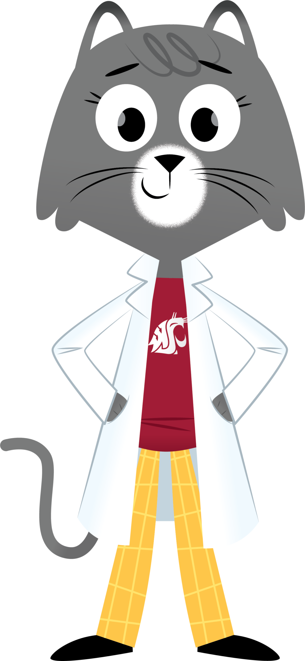 Do flying squirrels really fly? | Ask Dr. Universe | Washington State ...