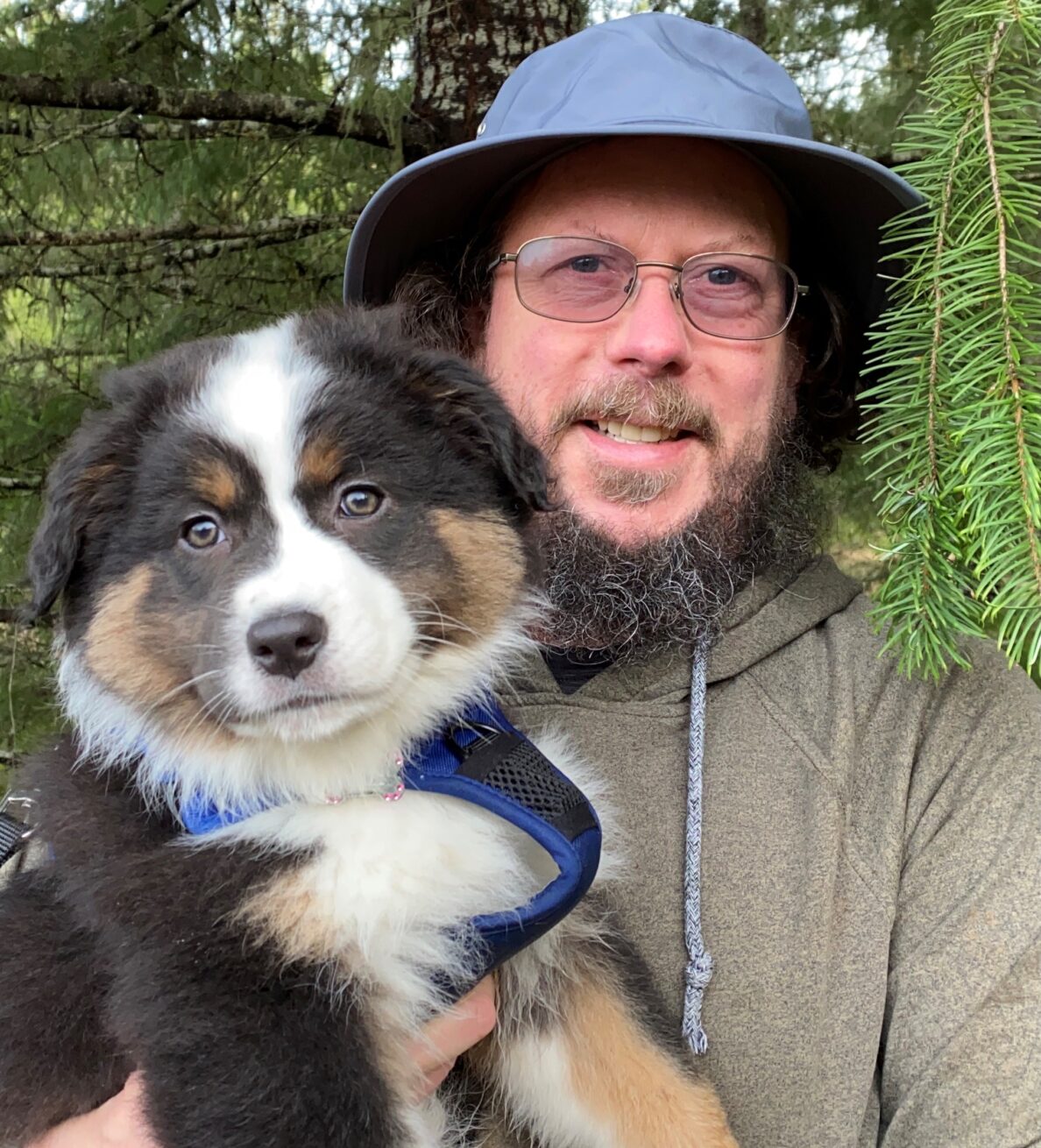 Do flying squirrels really fly? | Ask Dr. Universe | Washington State ...