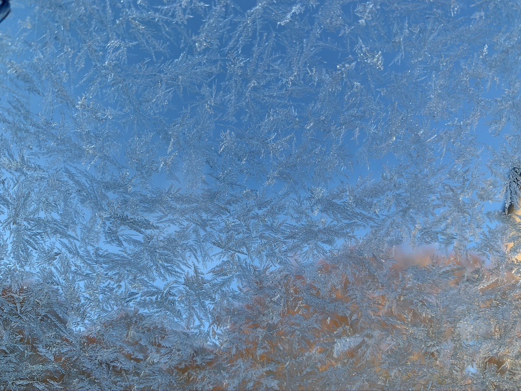 Why does frost make shapes like flowers and ferns? | Ask Dr. Universe ...