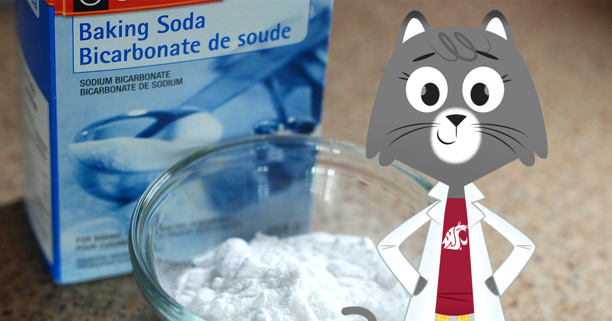 What’s the purpose of baking soda and baking powder? | Ask Dr. Universe ...
