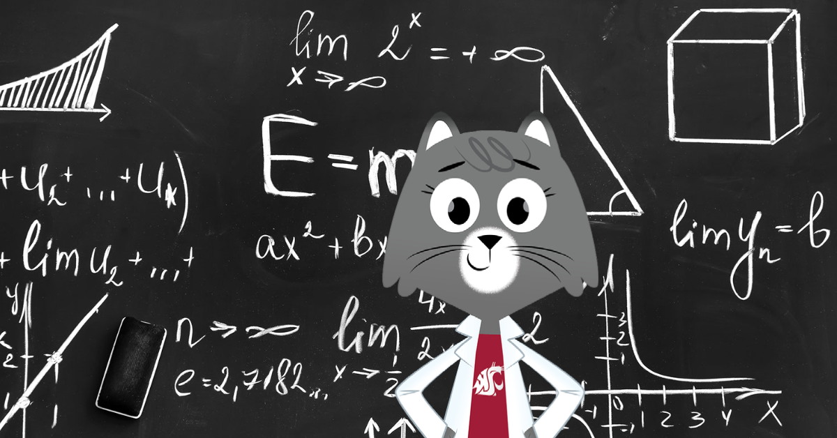 Why do numbers never end? | Ask Dr. Universe | Washington State University