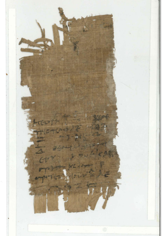 Who invented books? | Ask Dr. Universe | Washington State University