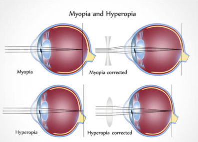 How do glasses work? | Ask Dr. Universe | Washington State University