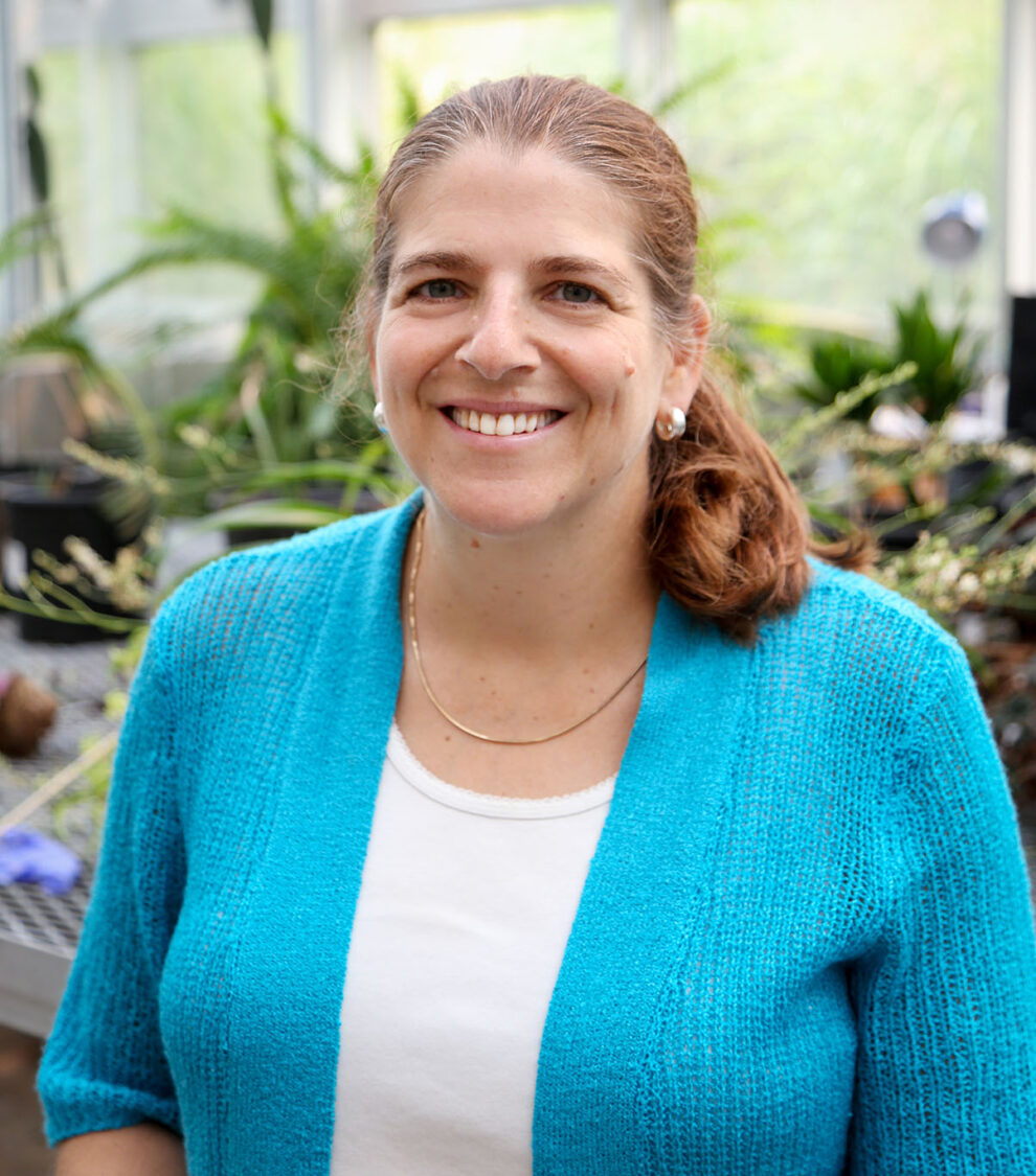 Distinguished Faculty Address | Showcase | Washington State University