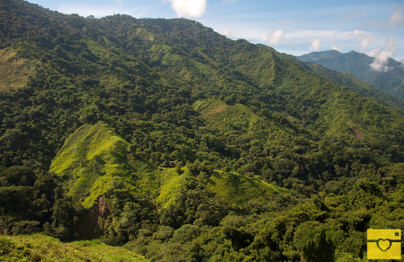 Rio Frio (Colombia) | Transect of the Americas | Washington State ...