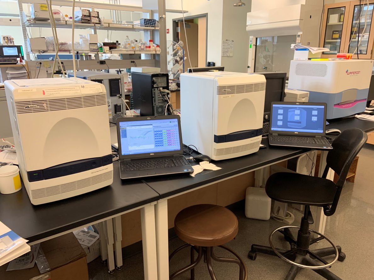 ABI 7500 qPCR System | Laboratory of Biotechnology and Bioanalysis ...