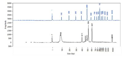 Sequencing DNA | Laboratory for Biotechnology and Bioanalysis ...
