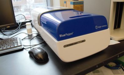 BluePippin Prep | Laboratory for Biotechnology and Bioanalysis ...
