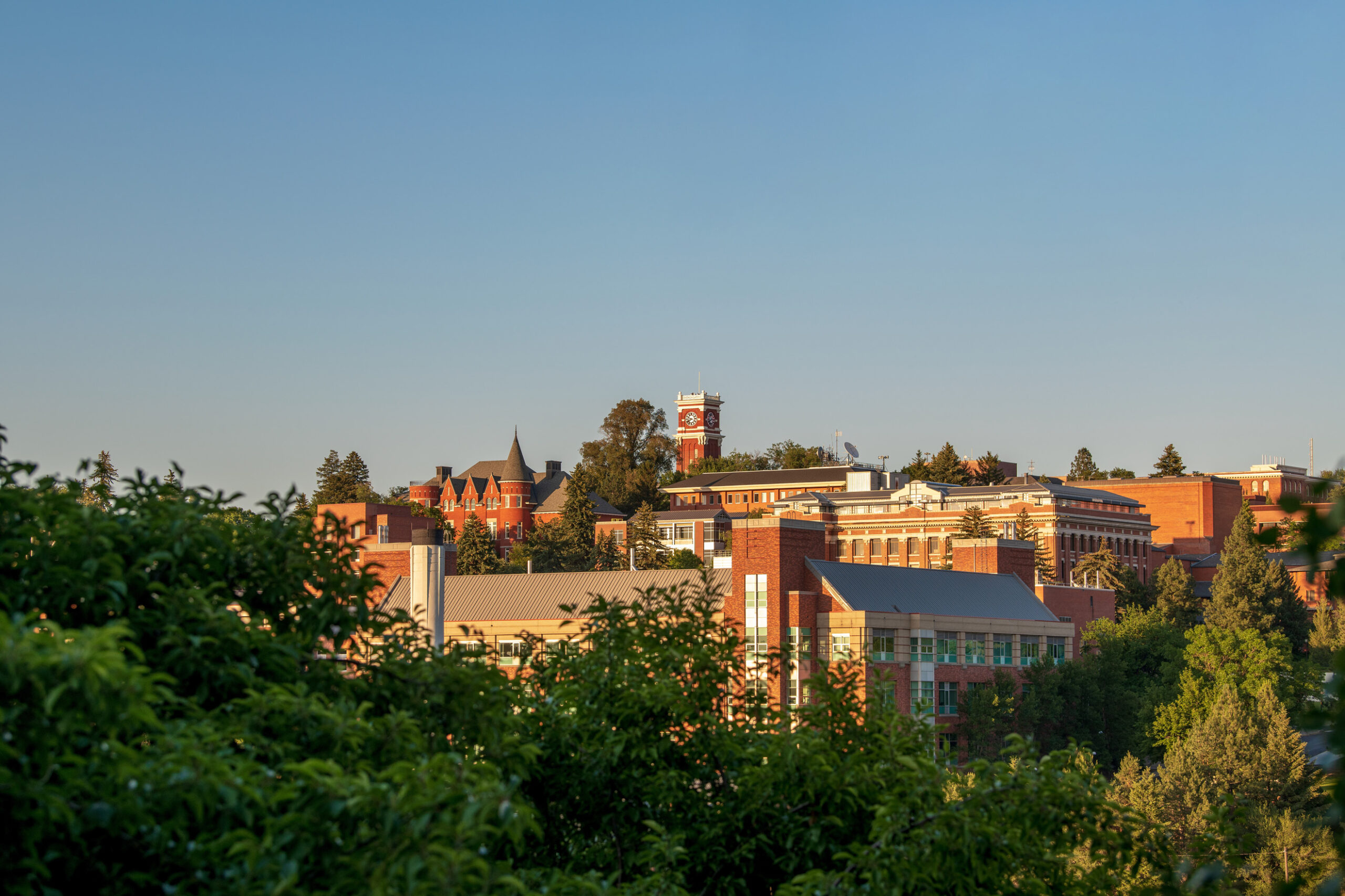 David G. Pollart Center for Arts and Humanities | Washington State ...