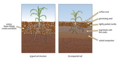 Soil Compaction: An inevitable part of modern agriculture or a symptom ...