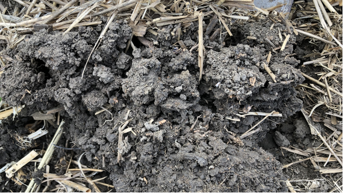 Soil Compaction: An inevitable part of modern agriculture or a symptom ...