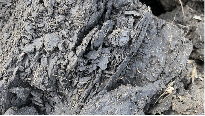 Soil Compaction: An inevitable part of modern agriculture or a symptom ...