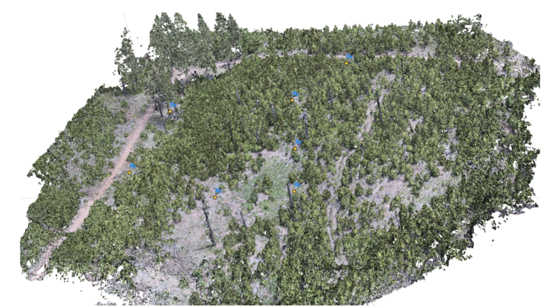 Management of Post-fire Landscapes | Lab Site for Arjan Meddens ...
