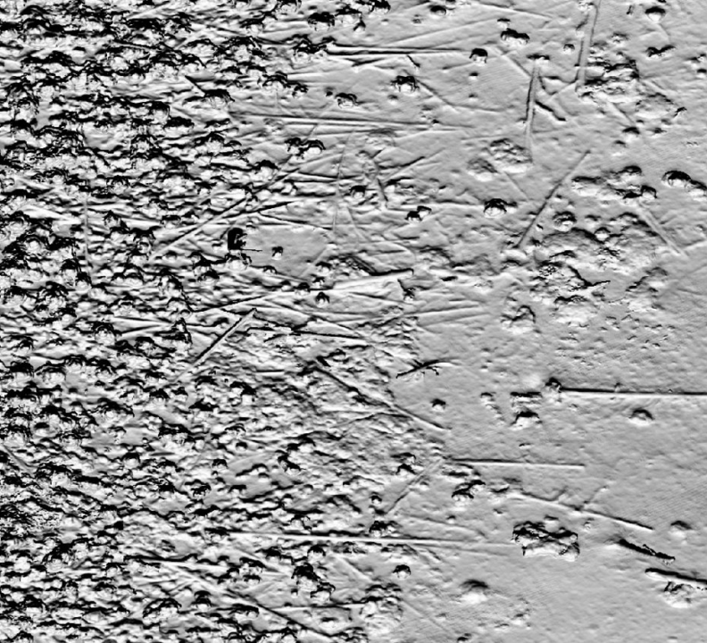 Management of Post-fire Landscapes | Lab Site for Arjan Meddens ...