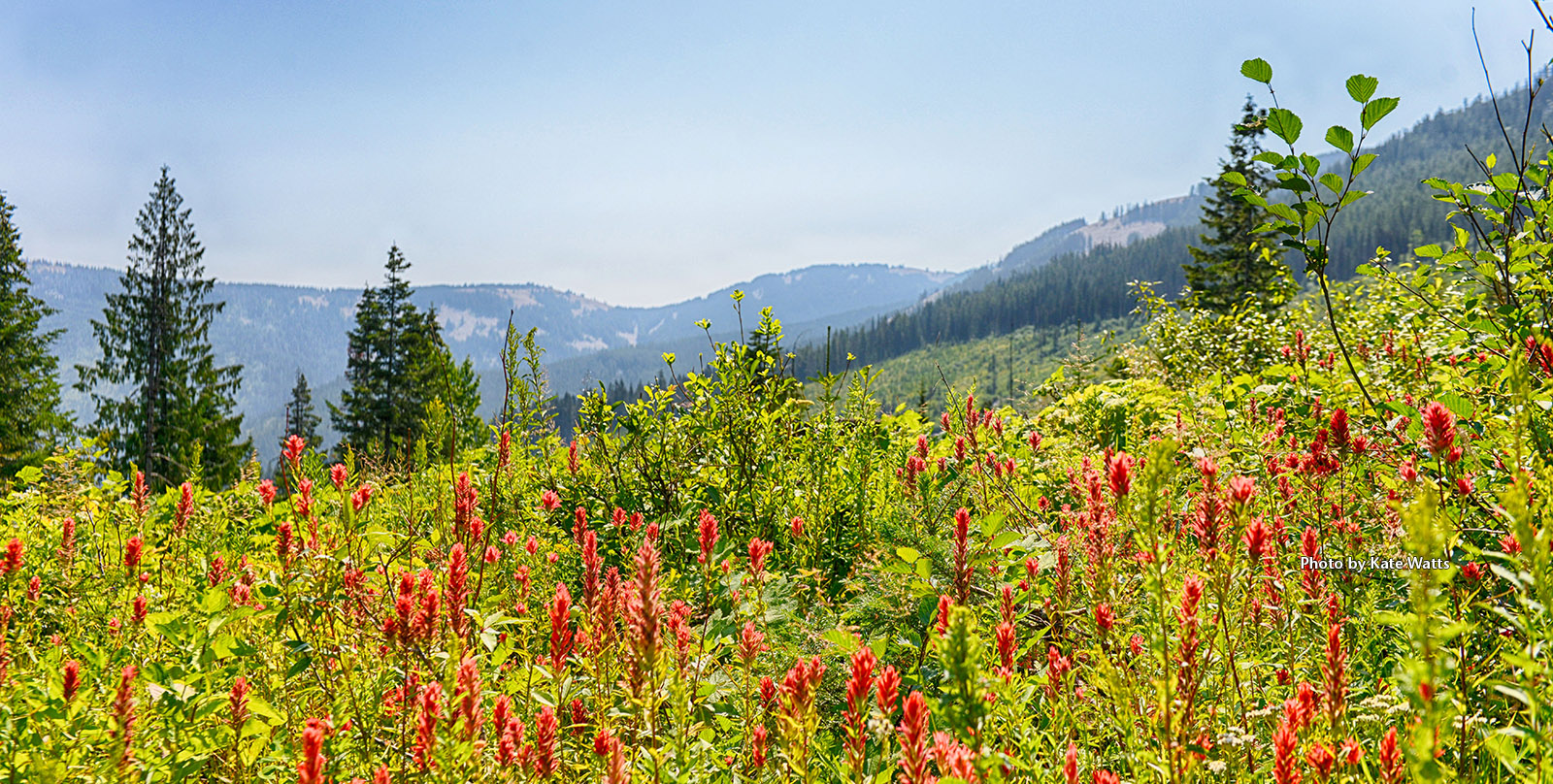 faculty-and-staff-earn-recognition-soe-connections-washington-state