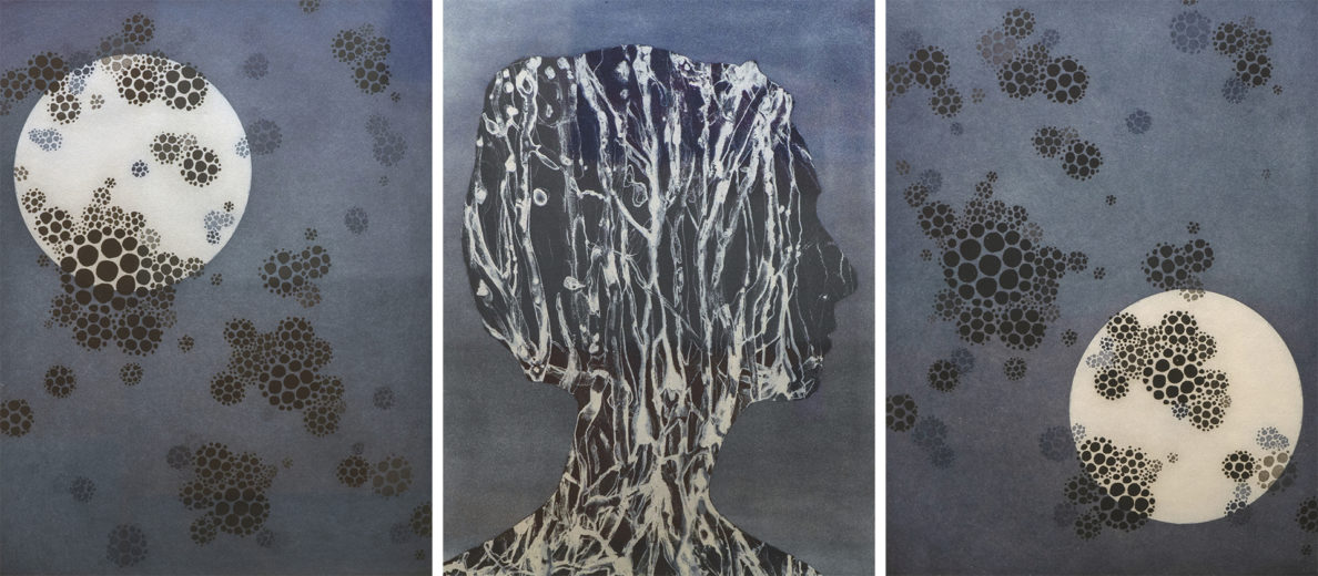 Sitka Remembered | Aardwolf | Washington State University