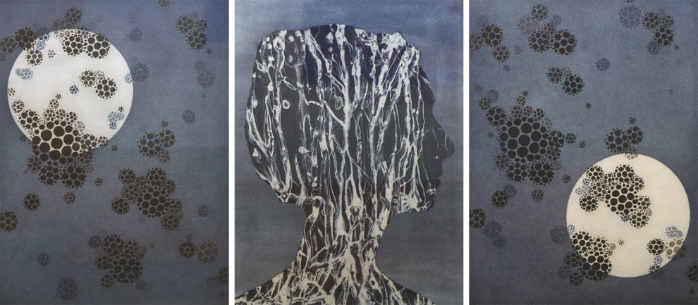 Sitka Remembered | Aardwolf | Washington State University