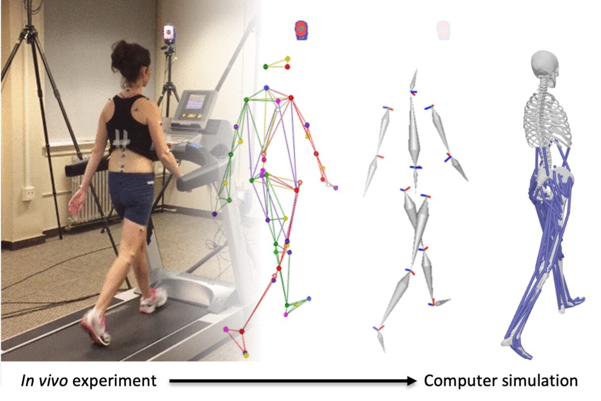 Biomechanics Lab | Washington State University