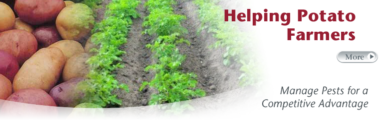 Grant Helps Northwest Potato Farmers Go Green | Department of ...