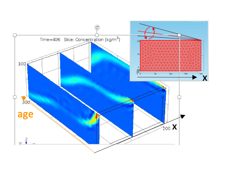 Professor Tim Ginn | Washington State University