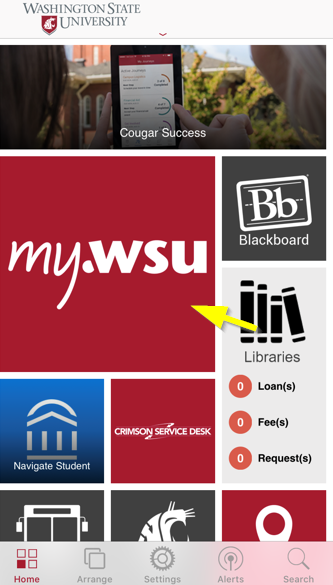 Daily Attestation Instructions – WSU Attestation