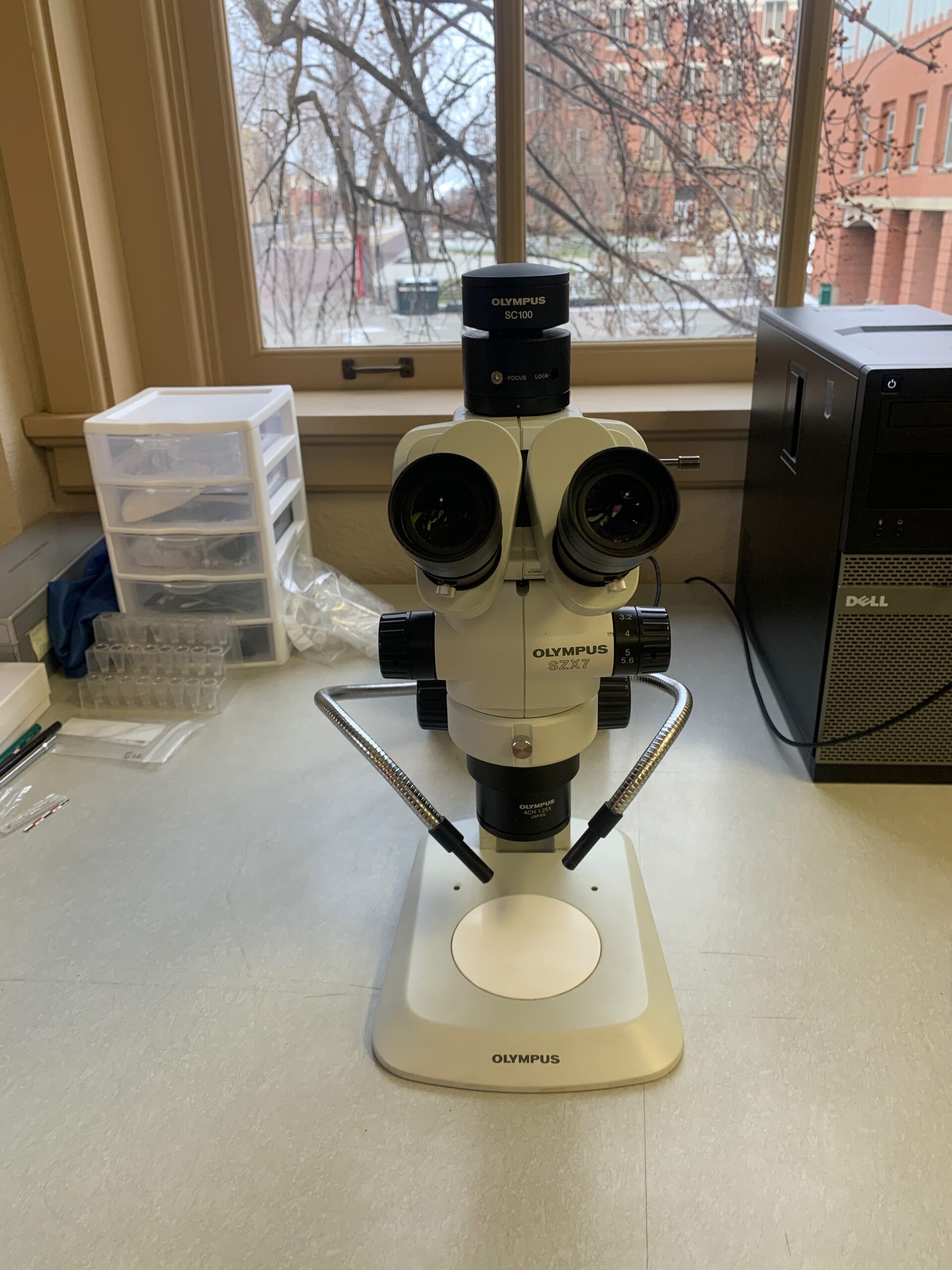 Lab Facilities | Lab Site for Environmental Archaeology Research Lab ...