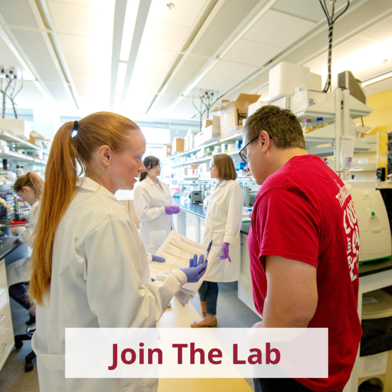 The Frank Laboratory for Sleep Regulation and Function | Washington ...