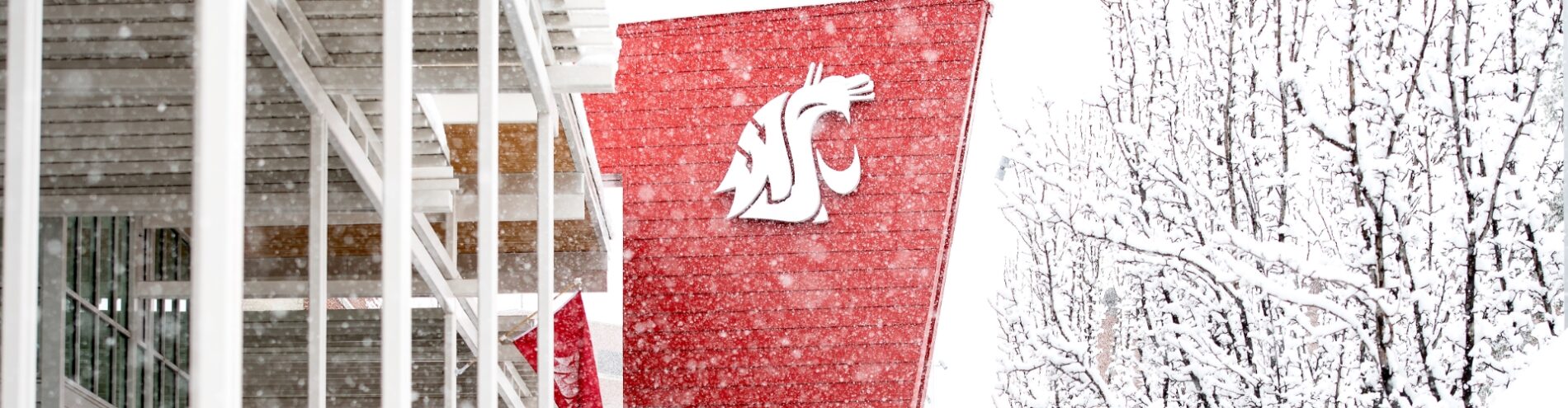 Confirmed Pullman | Washington State University