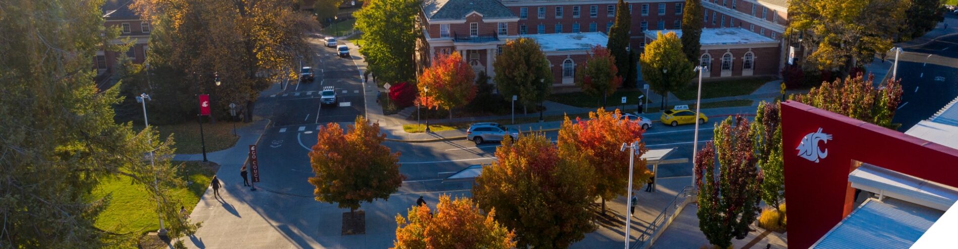 Confirmed Pullman | Washington State University