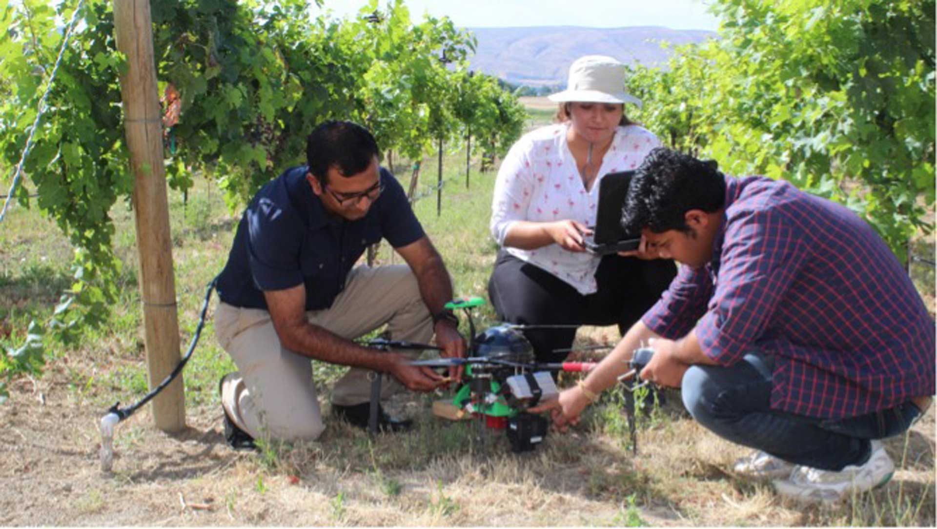 Center for Precision & Automated Agricultural Systems | Washington ...