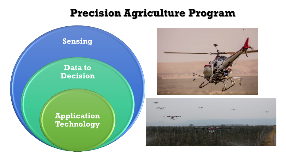 Field-based Phenomics | WSU Plant Phenomics | Washington State University