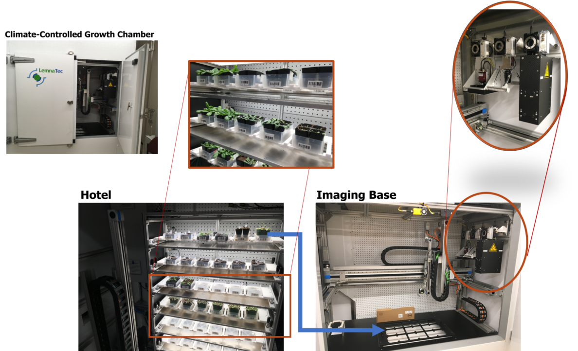 Facilities | WSU Plant Phenomics | Washington State University
