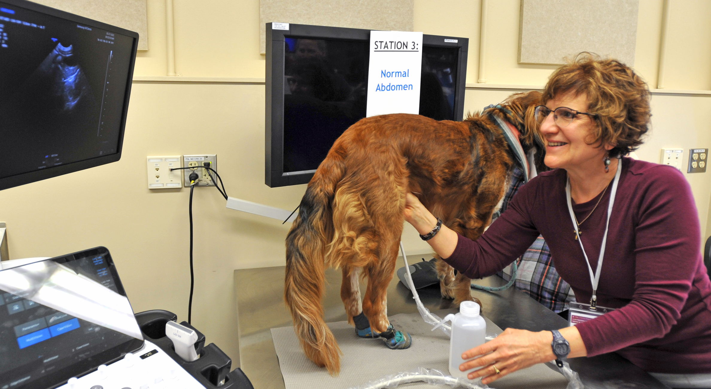 Veterinary Continuing Education College Of Veterinary Medicine