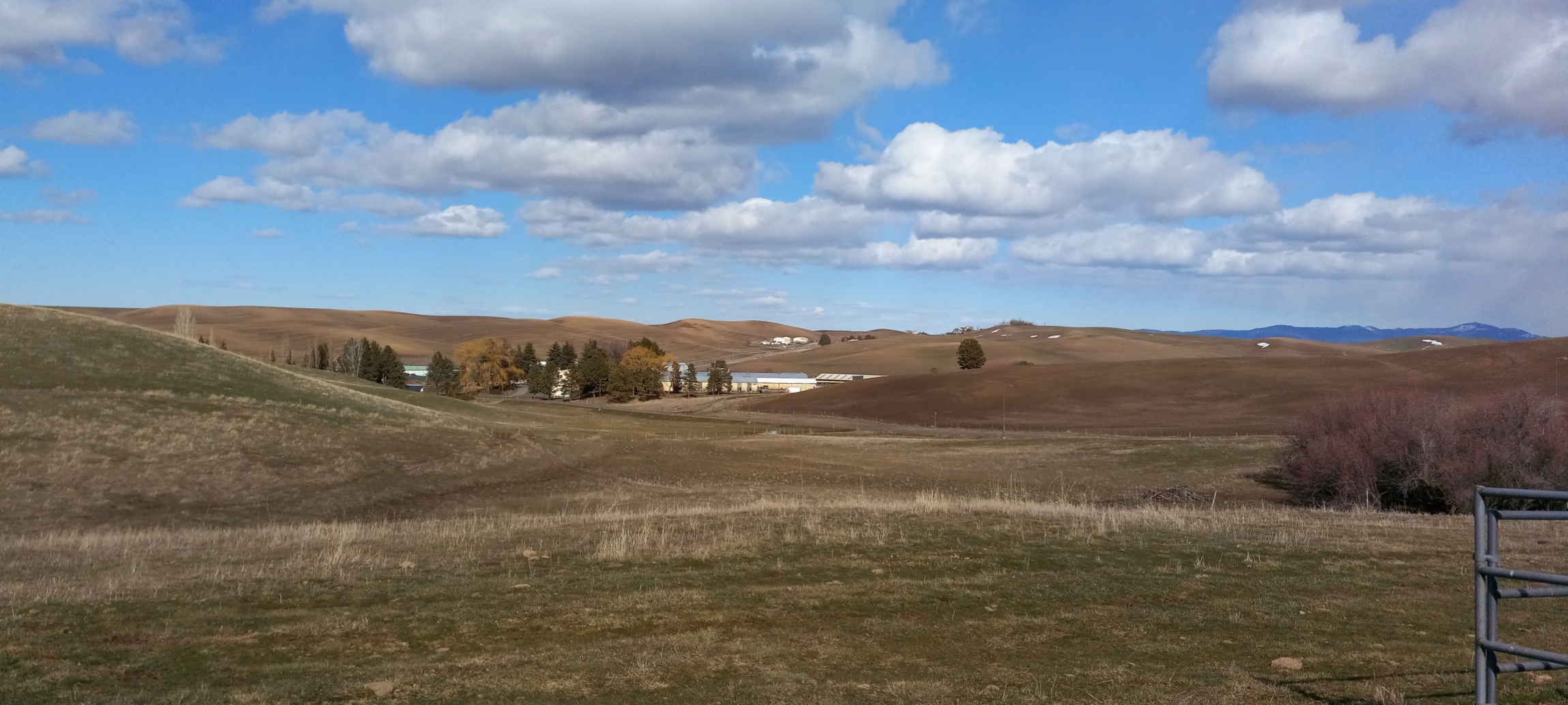 Facilities | Department of Animal Sciences | Washington State University