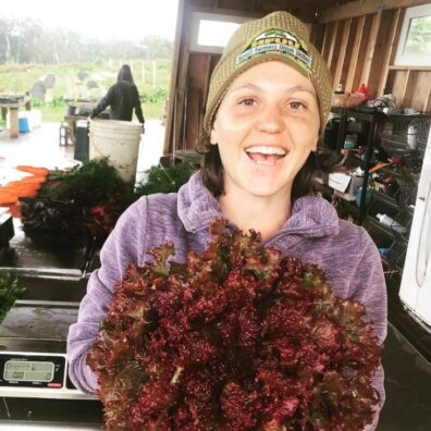 News | Soil Health Lab | WSU NWREC | Washington State University