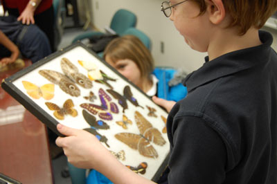 Tours, Loans, and More | Entomology Museum | Washington State University