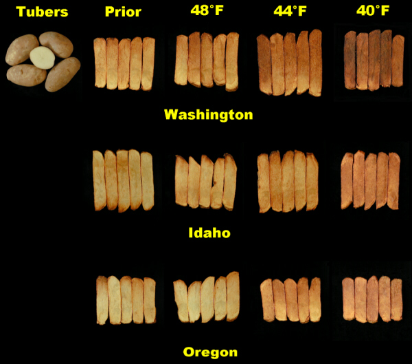 01tsranger | Potatoes at WSU | Washington State University