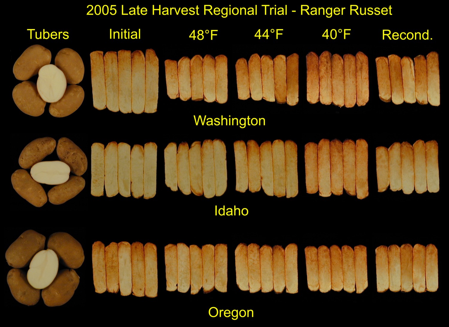 05rtRanger | Potatoes at WSU | Washington State University