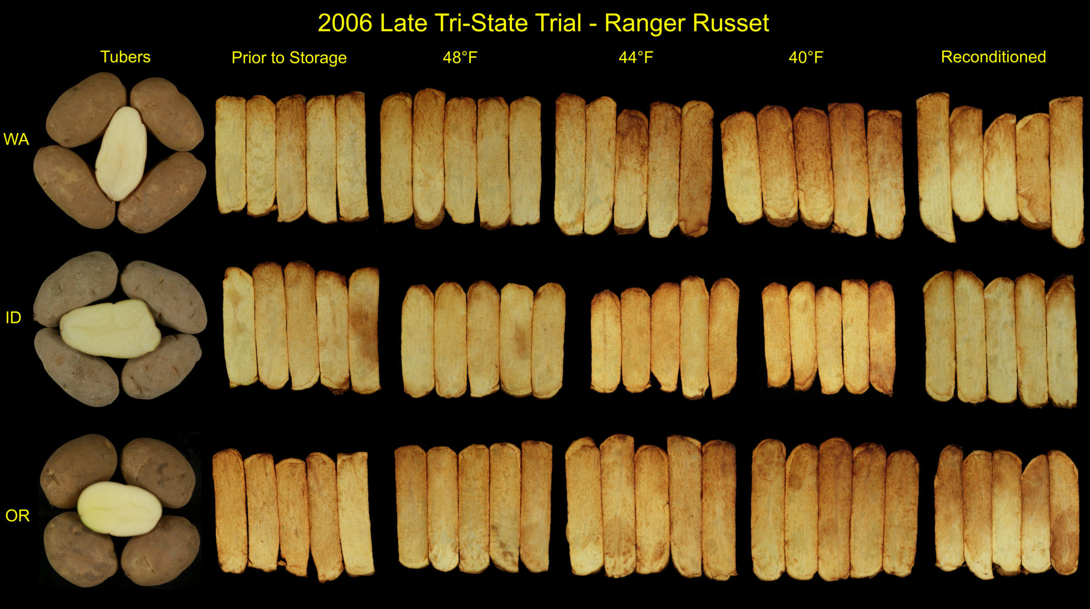 06tsRanger | Potatoes at WSU | Washington State University