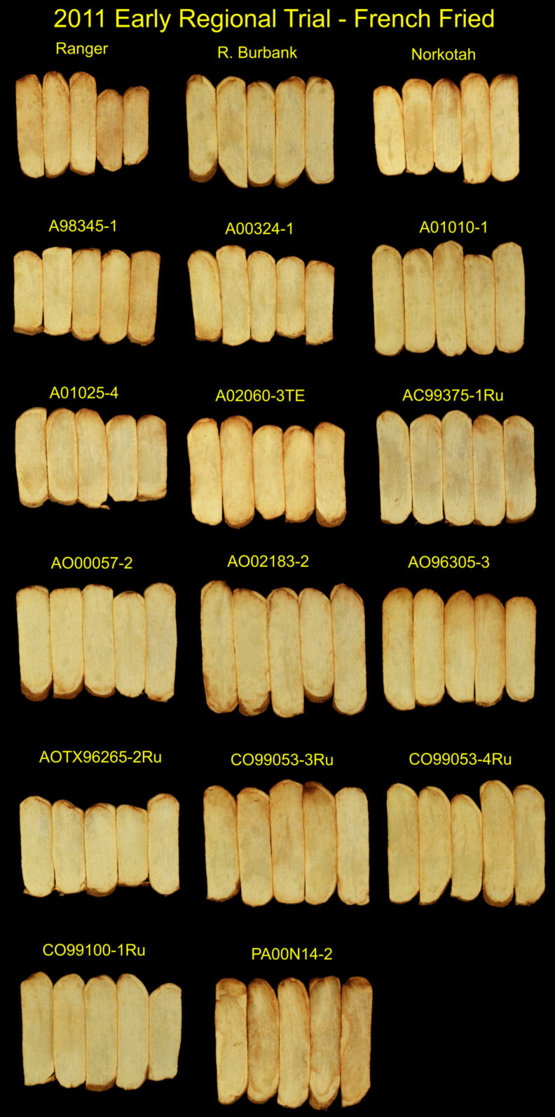 11ertfries | Potatoes at WSU | Washington State University