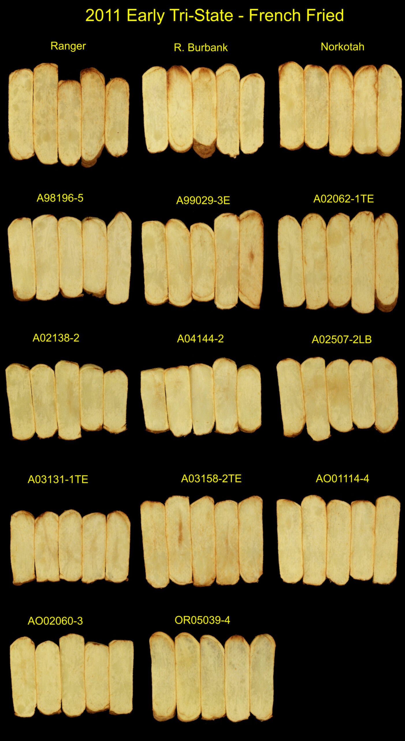 11etsfries | Potatoes at WSU | Washington State University