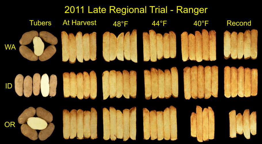 11rtRanger | Potatoes at WSU | Washington State University