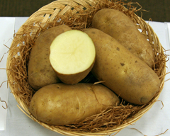 LTS A02424-83LB | Potatoes at WSU | Washington State University