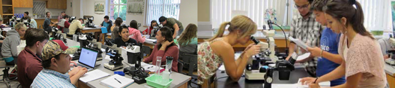 The School of Biological Sciences | Washington State University