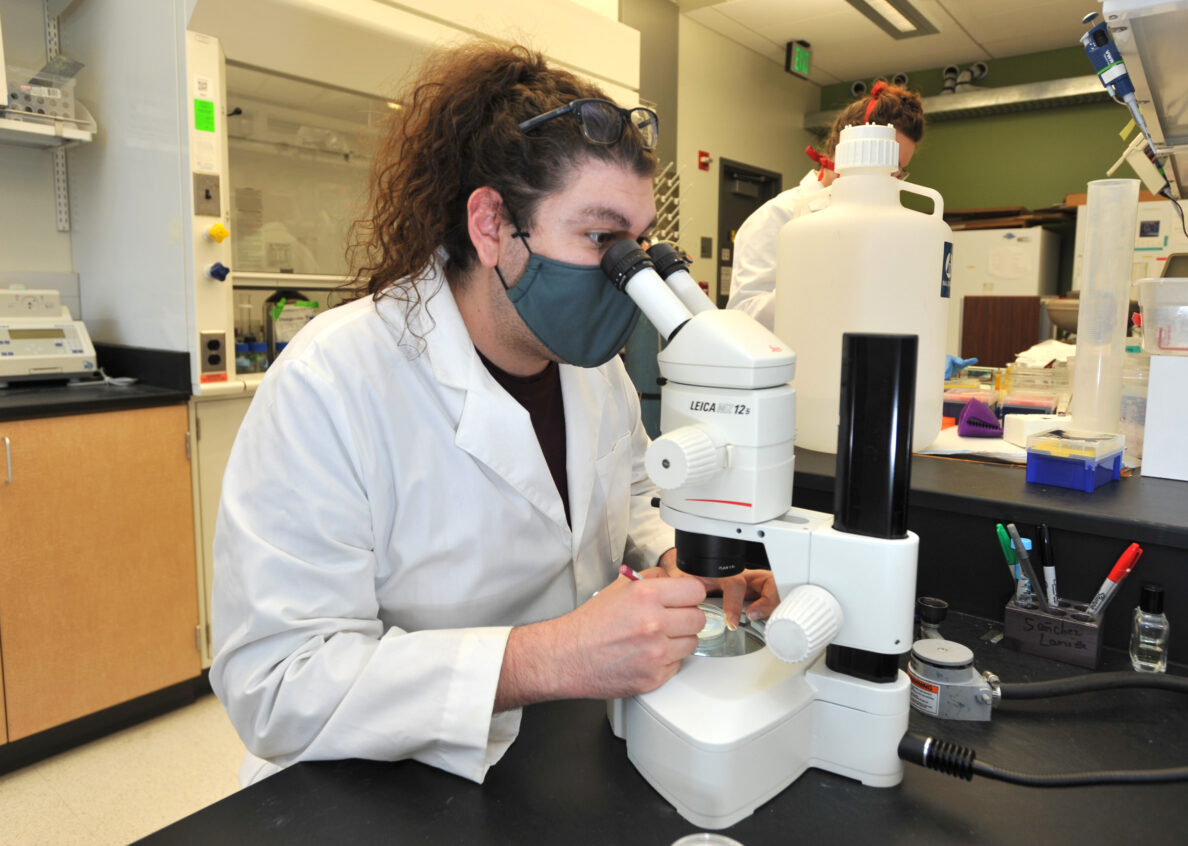 Lab Pictures | Jennifer Watts Lab | Washington State University