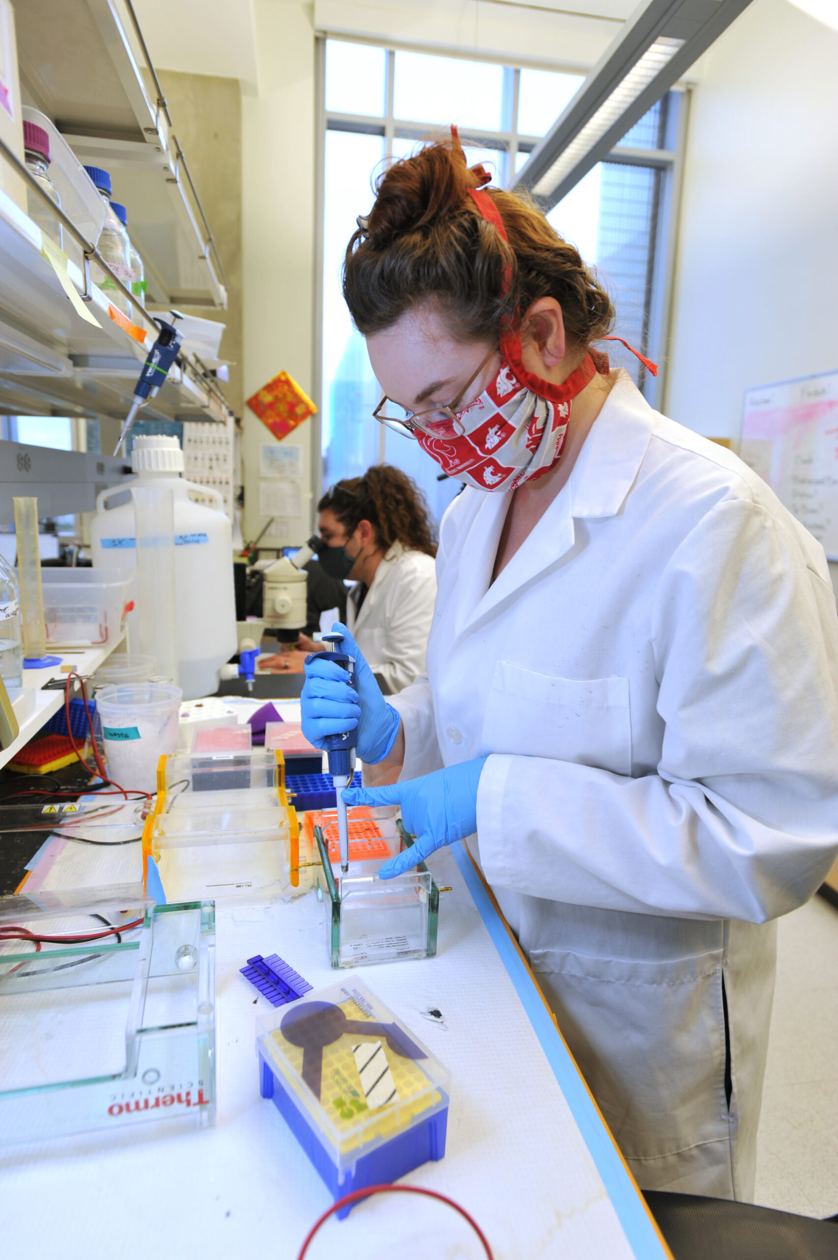 Lab Pictures | Jennifer Watts Lab | Washington State University