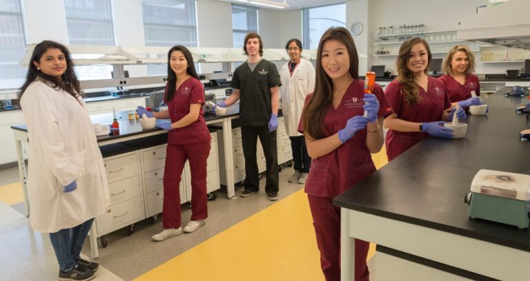 Doctor of Pharmacy Program | WSU International | Washington State ...