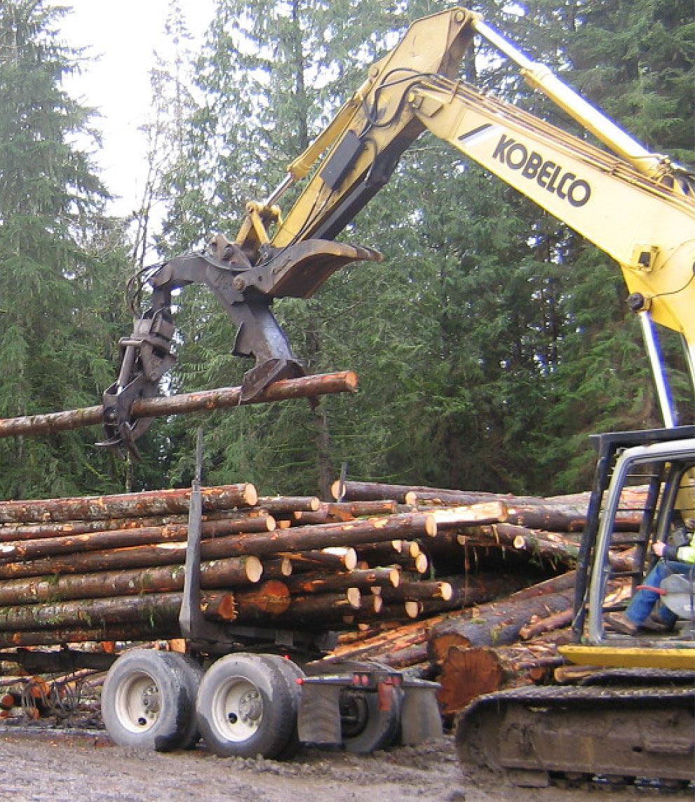 March 11-12: Landowners learn about selling their logs – WSU Insider